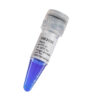 1 KB (0.25-10 kb) DNA Ladder – DM3100 – Gentech Biosciences SAS