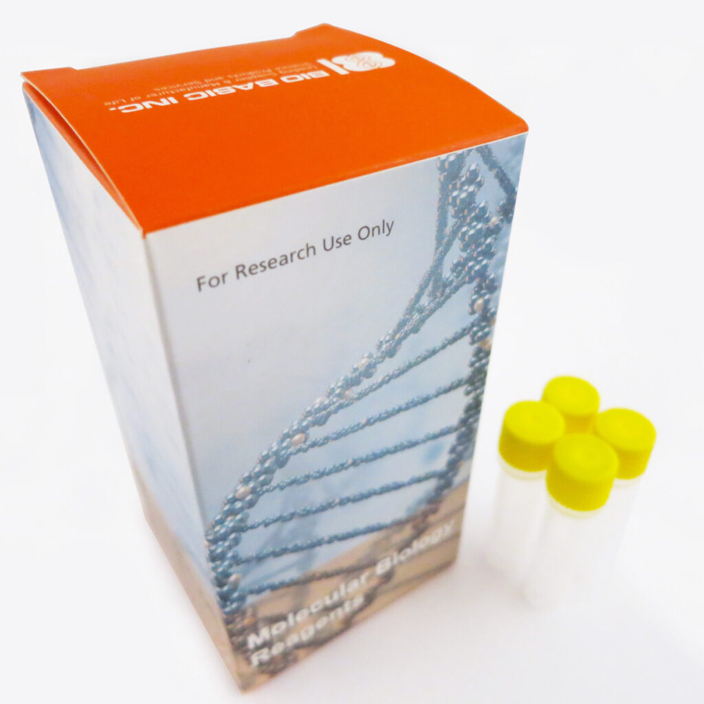 High Reverse Transcriptase Kitbio Basicv7 9k 005 0005 Gentech 8139